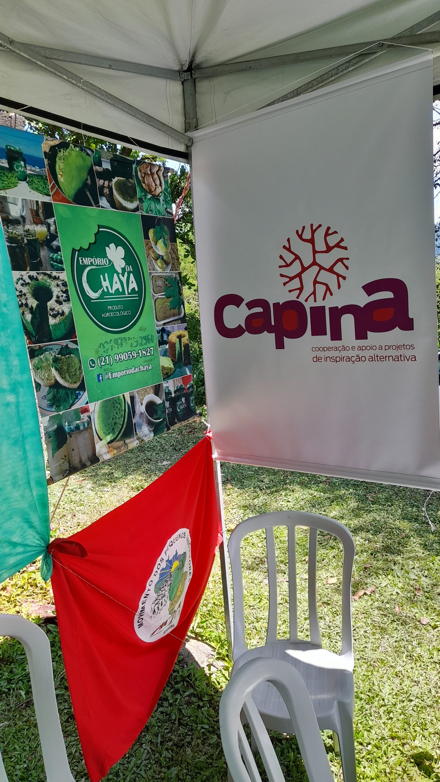 Projetos - Capina